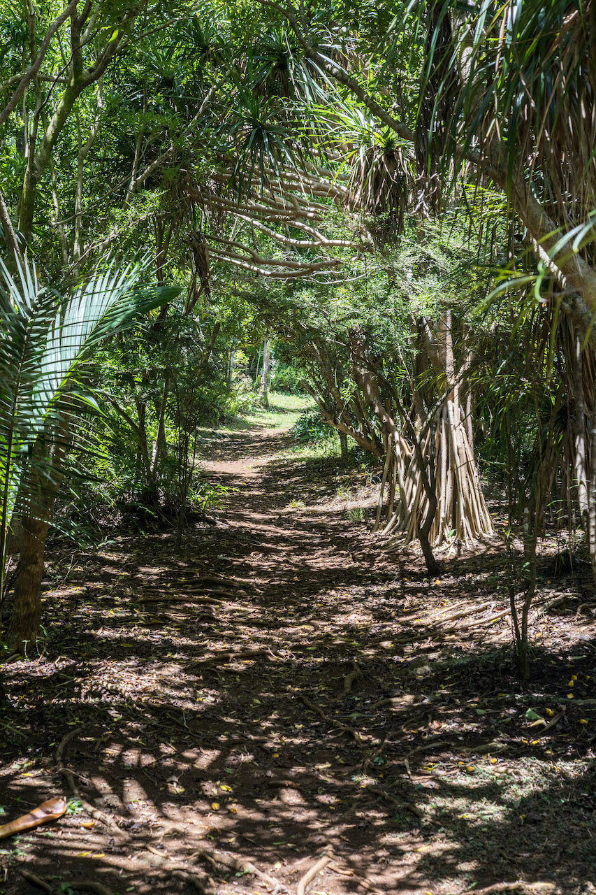 Grande Montagne Reserve Fr | Discovery Rodrigues